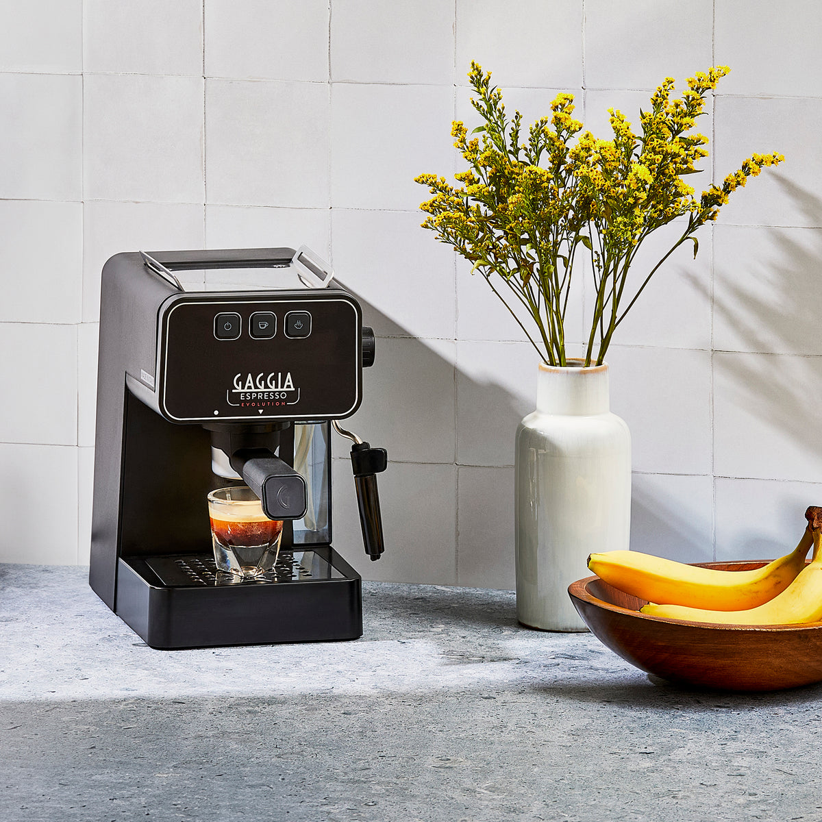 Gaggia Espresso Evolution: NEW Manual Espresso Machine – Whole Latte Love