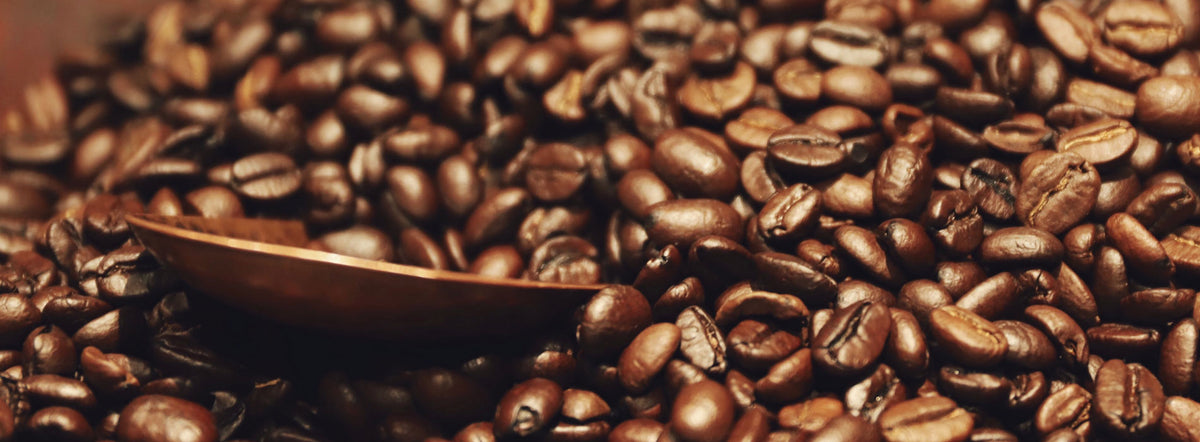 The Gaggia Latte Art Pannarello Wand – Whole Latte Love