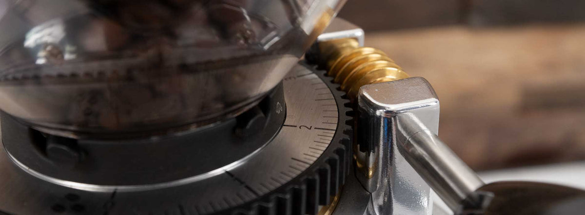 Ceado E37S Quick Set Coffee Grinder Review – Whole Latte Love