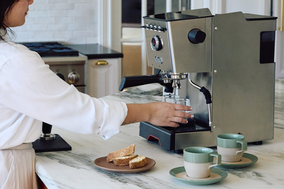 The Gaggia Classic GT Dual-Boiler Review – Whole Latte Love
