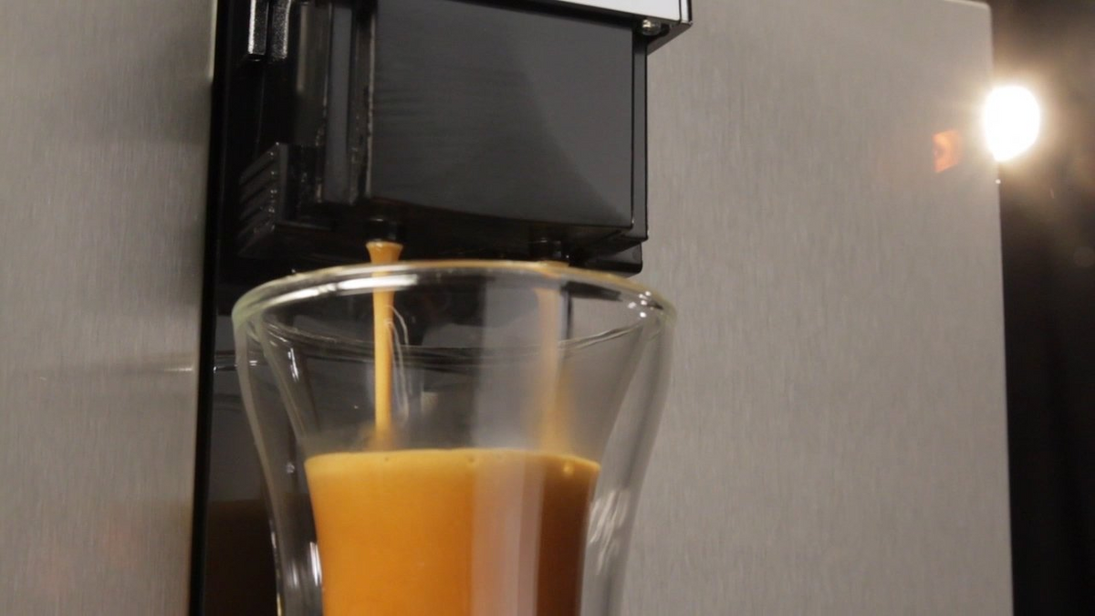 The Gaggia Brera Espresso Machine – Whole Latte Love