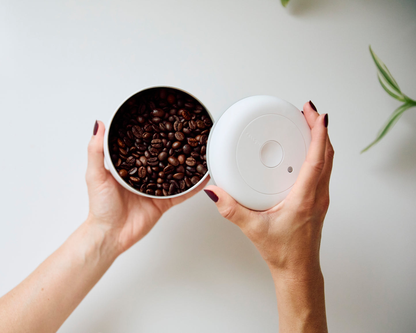 Fellow Atmos Vacuum Container 0.7L - Matte White – Whole Latte Love