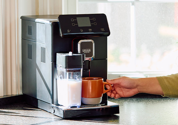 BWT Water Filters for Espresso Machines – Whole Latte Love
