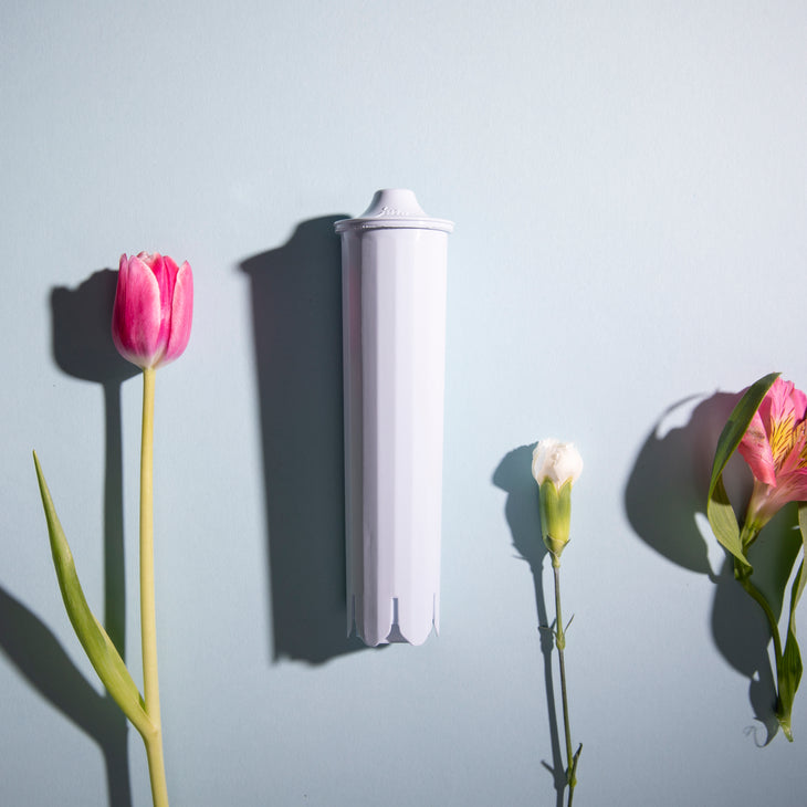 Spring Cleaning Your Espresso Machine – Whole Latte Love