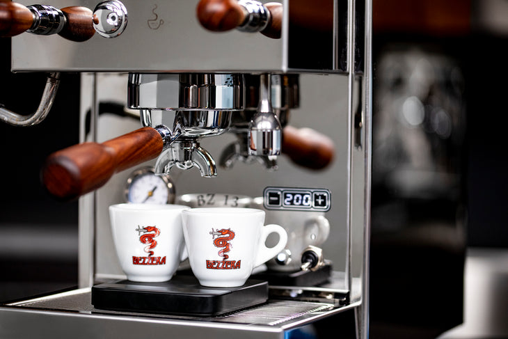 Bezzera BZ13 PM Review – Whole Latte Love