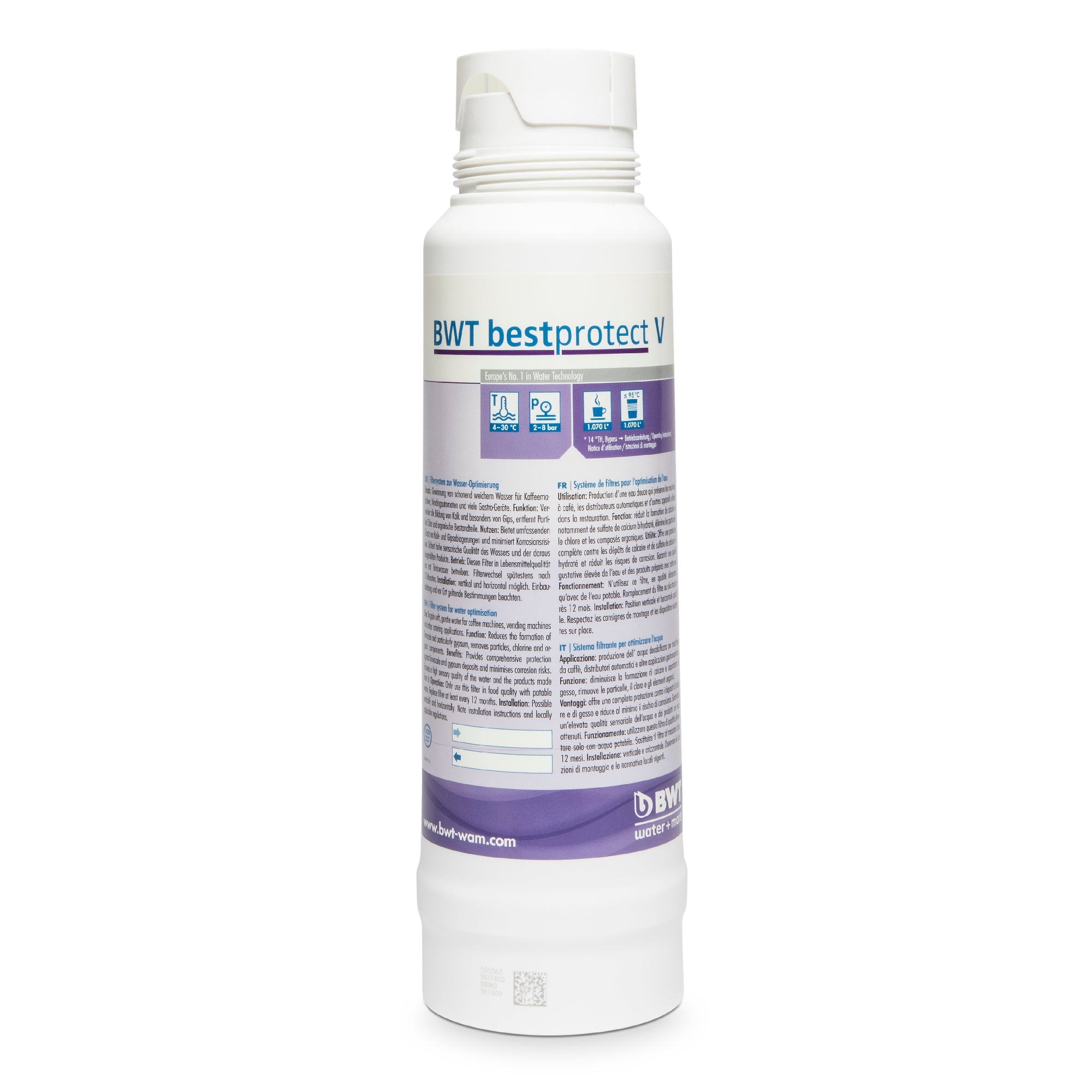 BWT Bestprotect V Water Filter Cartridge – Whole Latte Love