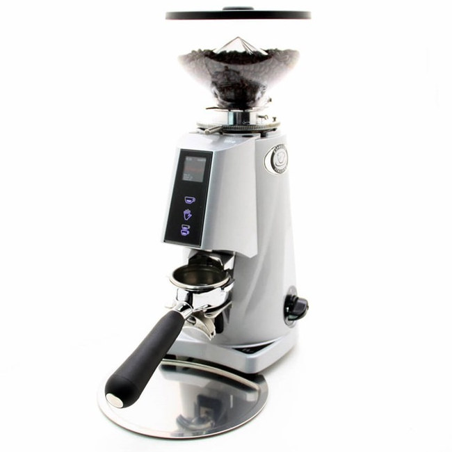 Fiorenzato F4E V2 Coffee Grinder in Grey – Whole Latte Love