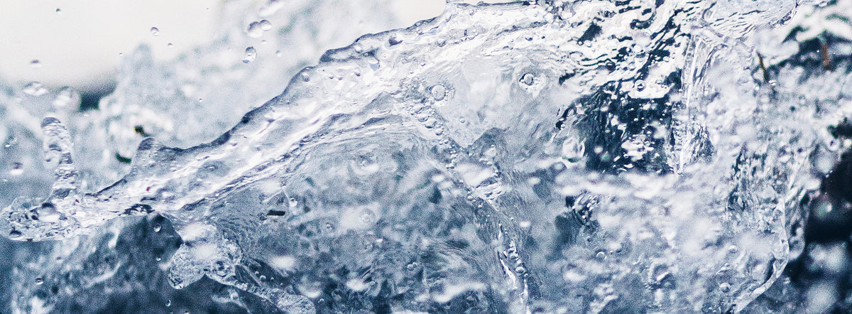 Rocket Espresso Water Reservoir Filter – Whole Latte Love